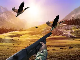 Duck Hunter . Online Games . BrightestGames.com