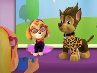 Paw Patrol: Picture PAWfect Dress-Up . BrightestGames.com