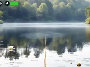 Walkthrough Net Fishing . BrightestGames.com